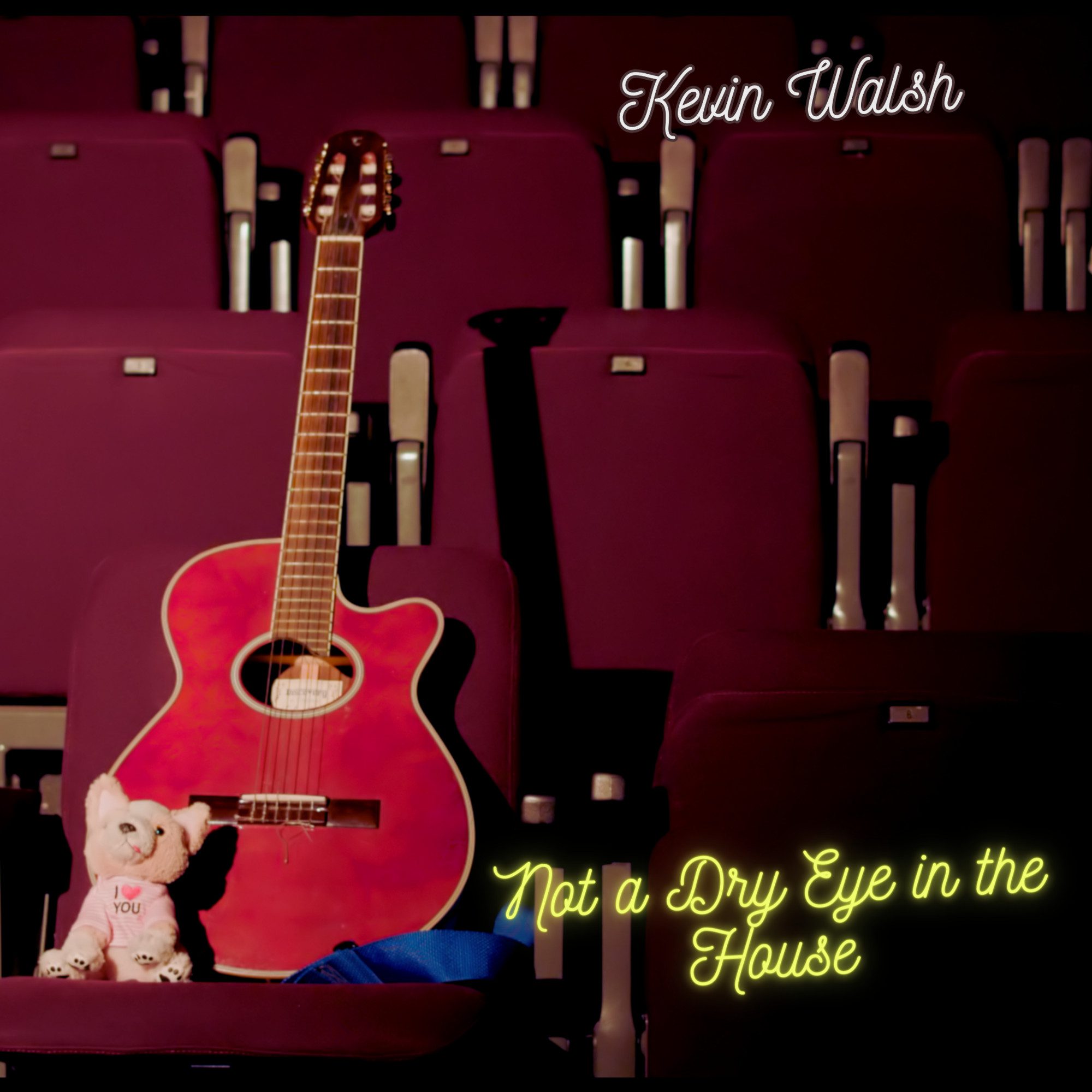 Kevin Walsh - Not A Dry Eye In The House (2023) | The Other Side Reviews