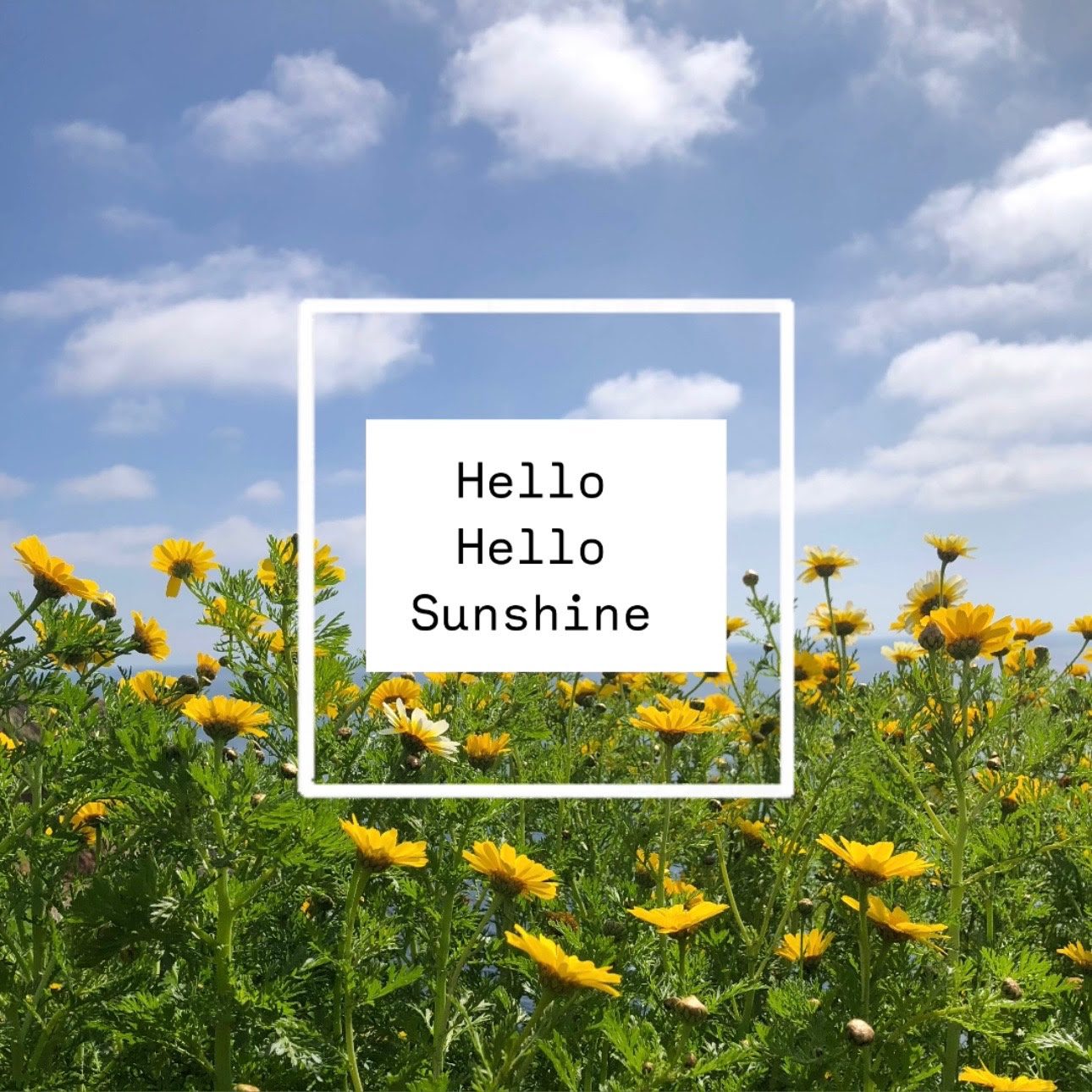 Ro Malone - Hello Hello Sunshine (2025) | The Other Side Reviews