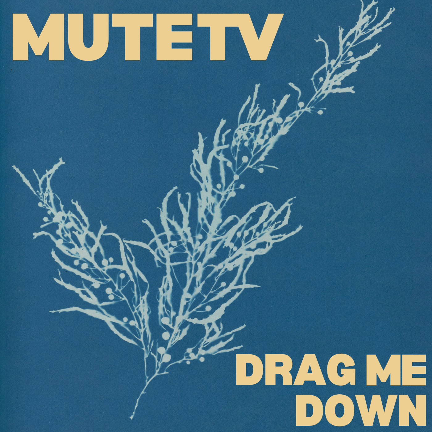 MUTE TV - Drag Me Down (2026) | The Other Side Reviews